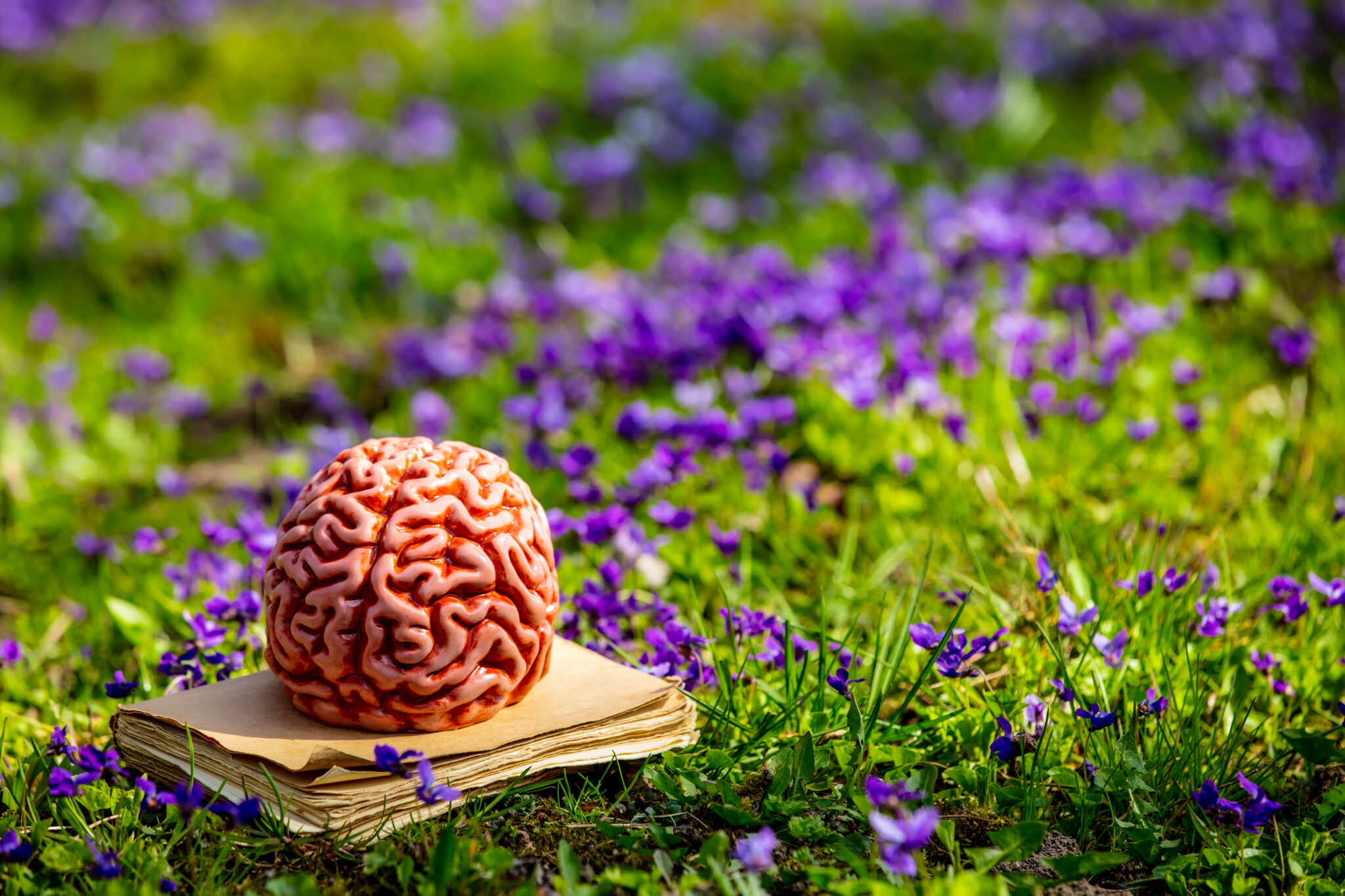 How Brain Health Affects High Performance in the Workplace - The Brain ...